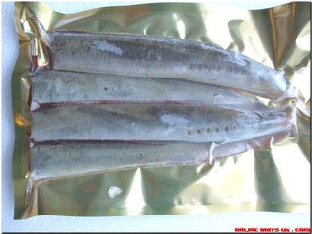 Lamprey Eels