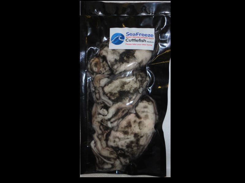 Cuttlefish Medium 2-4 per pack